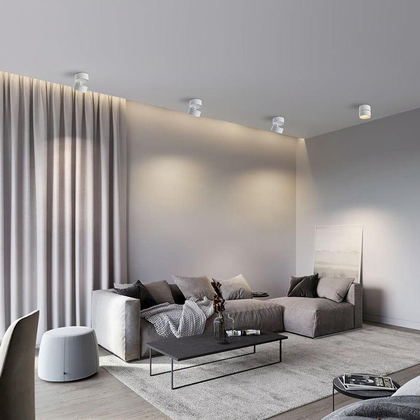 Favilla Surface Spotlight – Loonglight