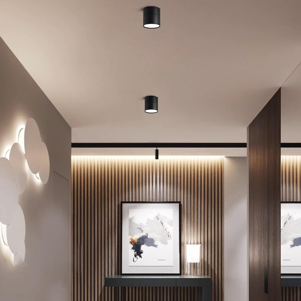 Favilla Surface Spotlight – Loonglight