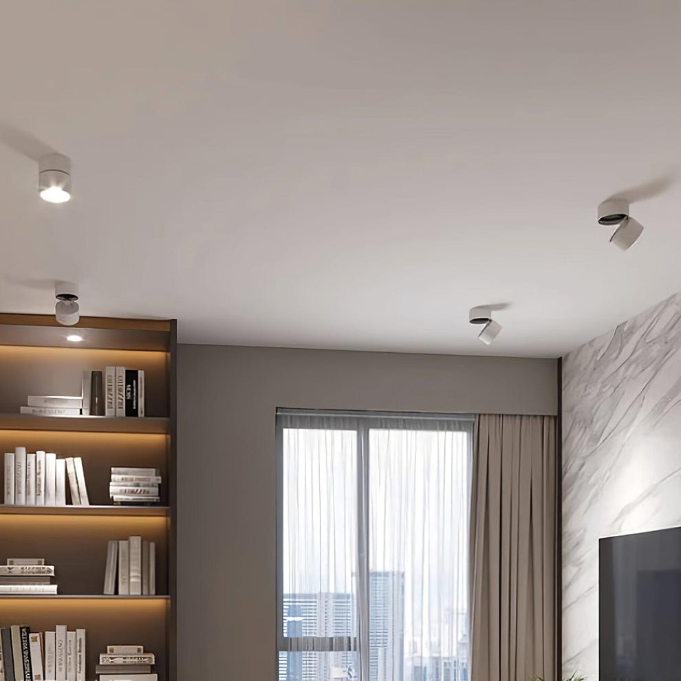 Favilla Surface Spotlight – Loonglight